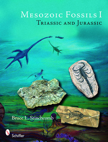 Mesozoic Fossils – Schiffer Kids