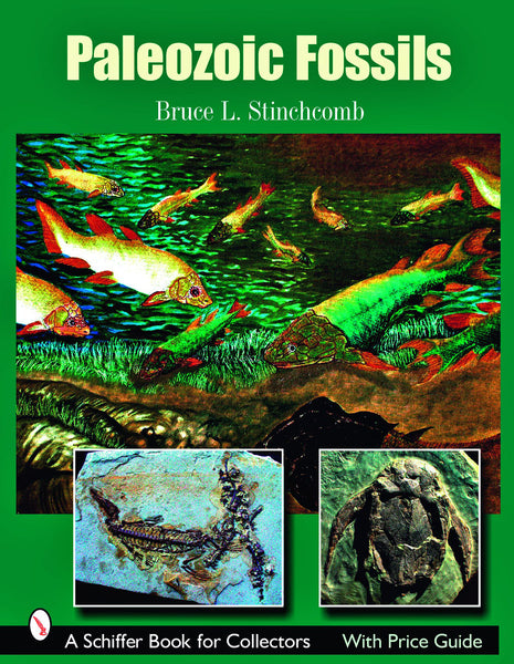 Paleozoic Fossils – Schiffer Kids
